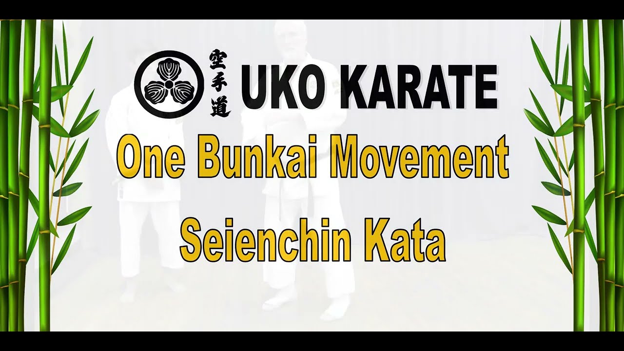 Seienchin Kata - One Bunkai Movement - YouTube