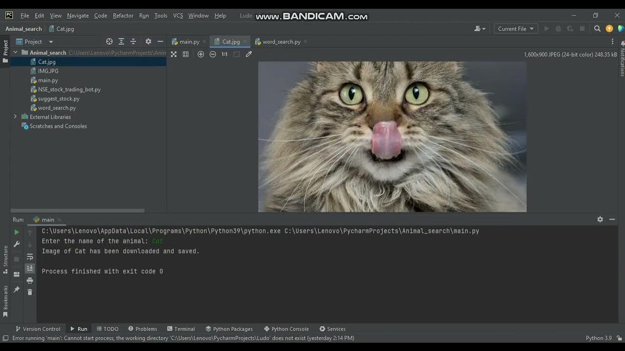 Animal Image Crawler | Scraper | Python projects - YouTube
