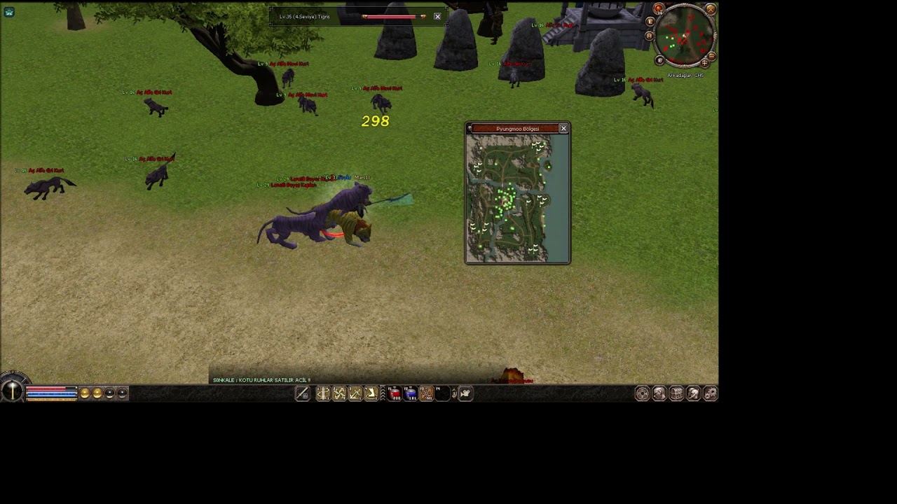 Metin2 Tigris Nerede Çıkar? (Mavi Bayrak + Kırmızı Bayrak Harita) - YouTube