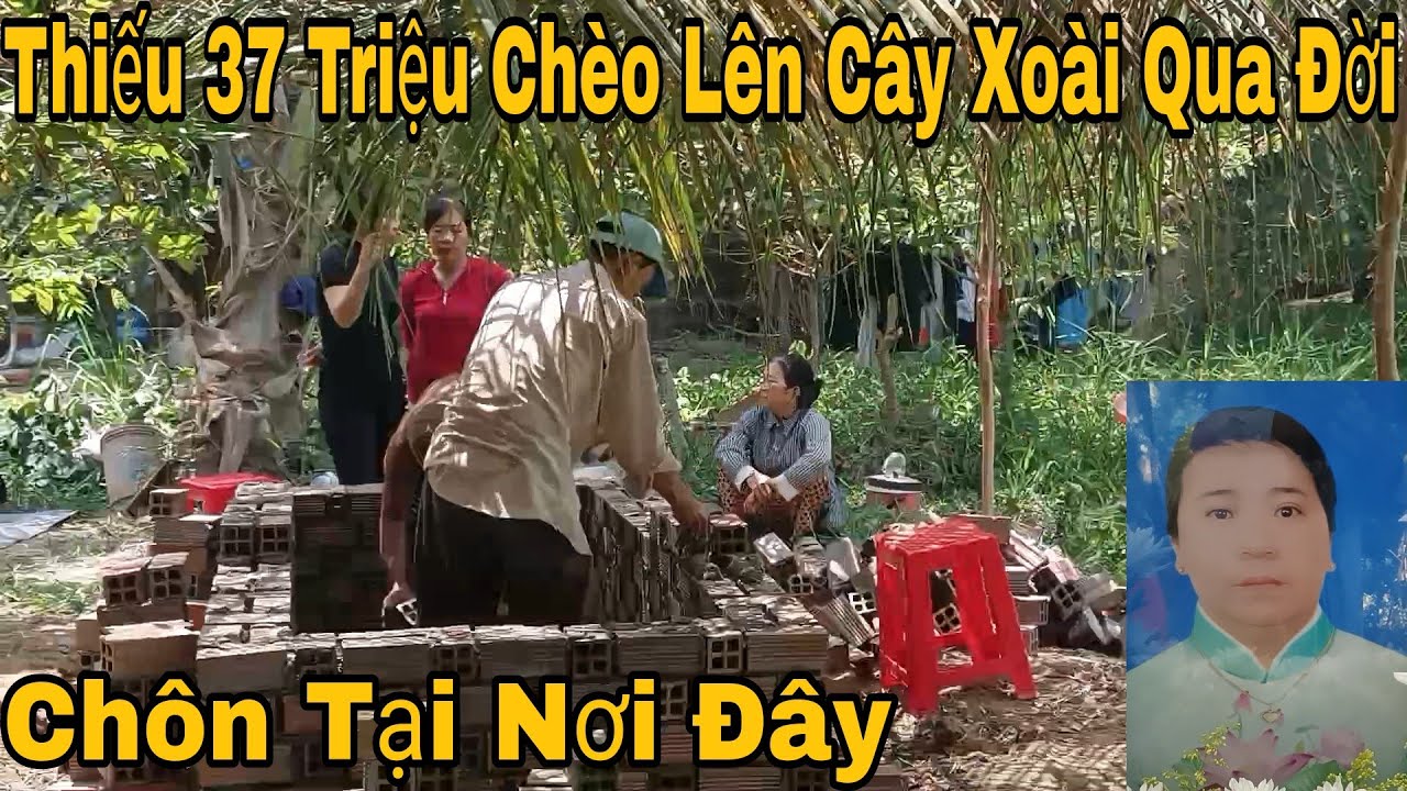 Người Phụ Nữ Thiếu Tiền Trên Mạng 37 Triệu Chèo Lên Cây Xoài Qua Đời ...