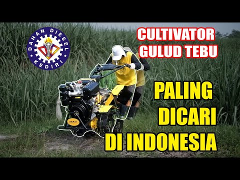 MESIN GULUD TEBU, Mas Nawan Petani Tebu Segaran Wates Kediri