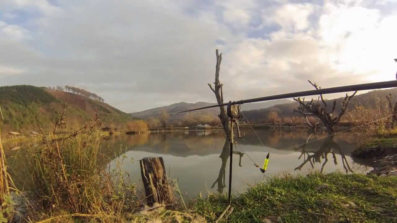 Crap la balta Valea Morii - YouTube