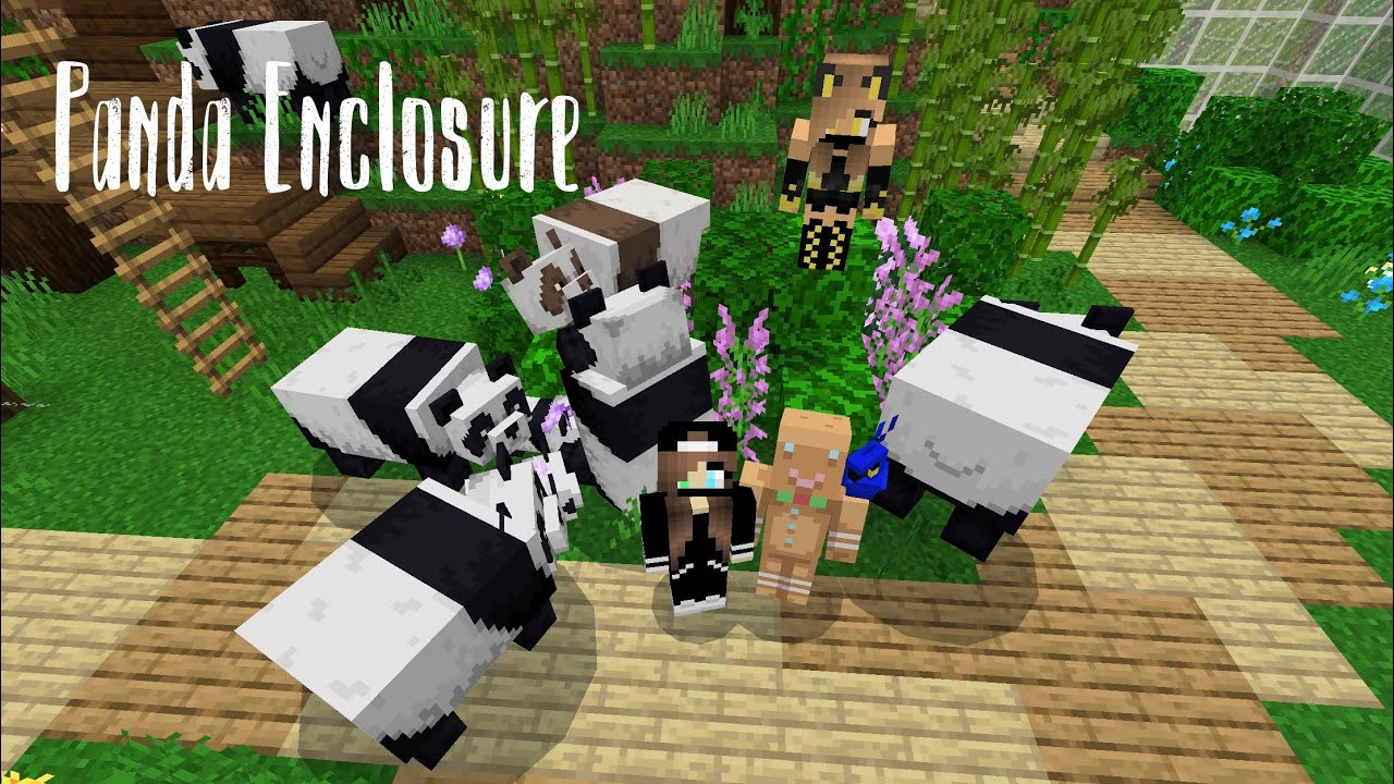My Panda Enclosure 🐼💙 - YouTube
