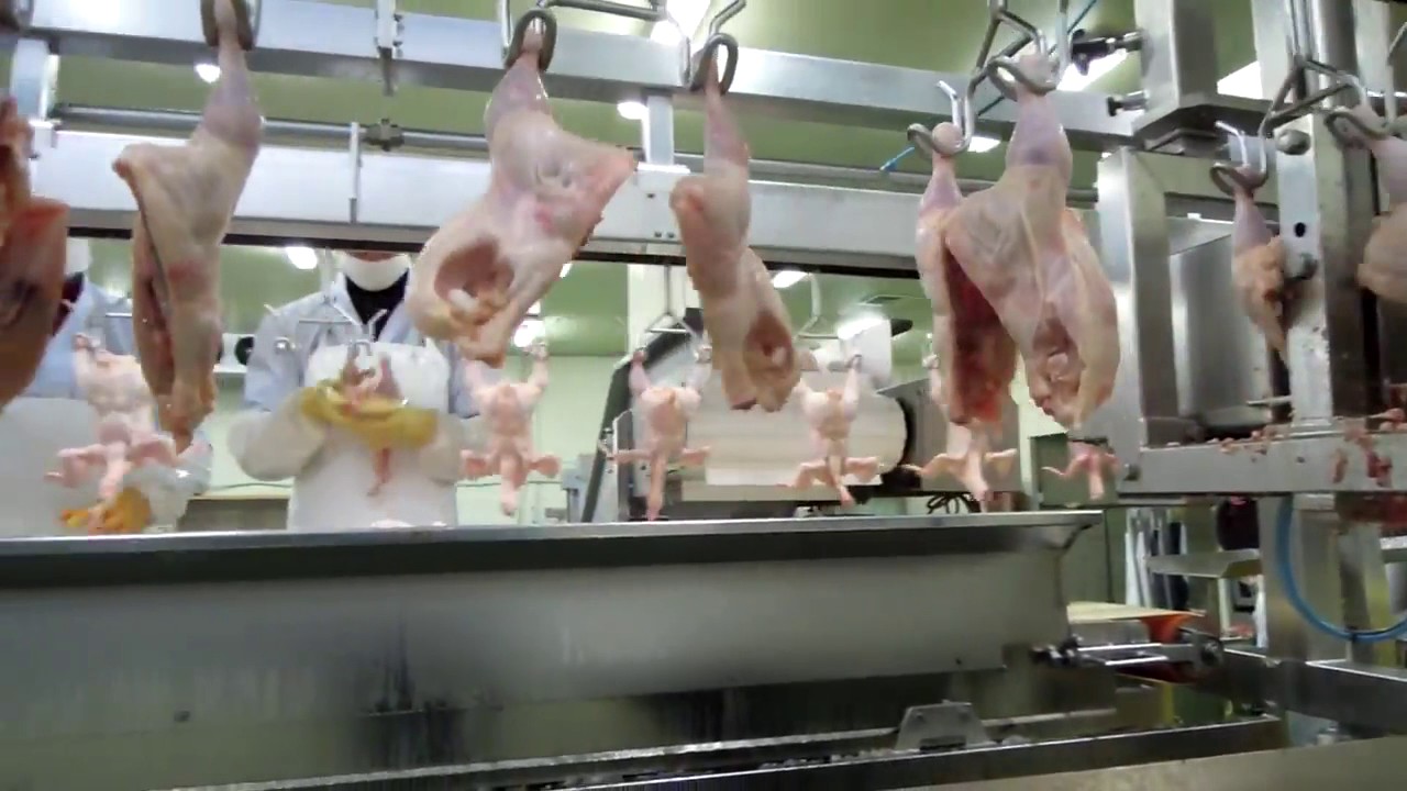 BRF processing - YouTube