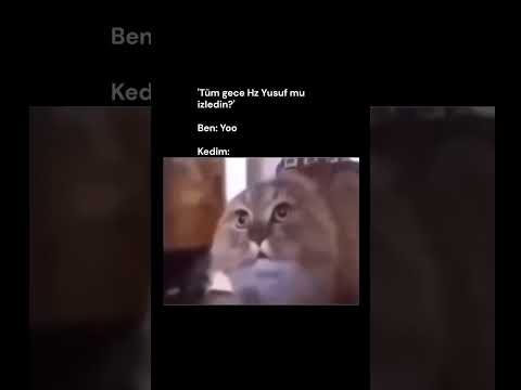 burda nasil yasiyorsunuz #keşfet #shorts