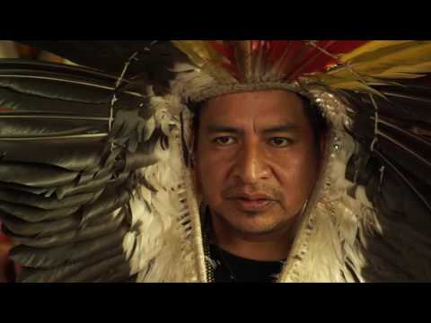 Tashka Yawanawá, Brazil