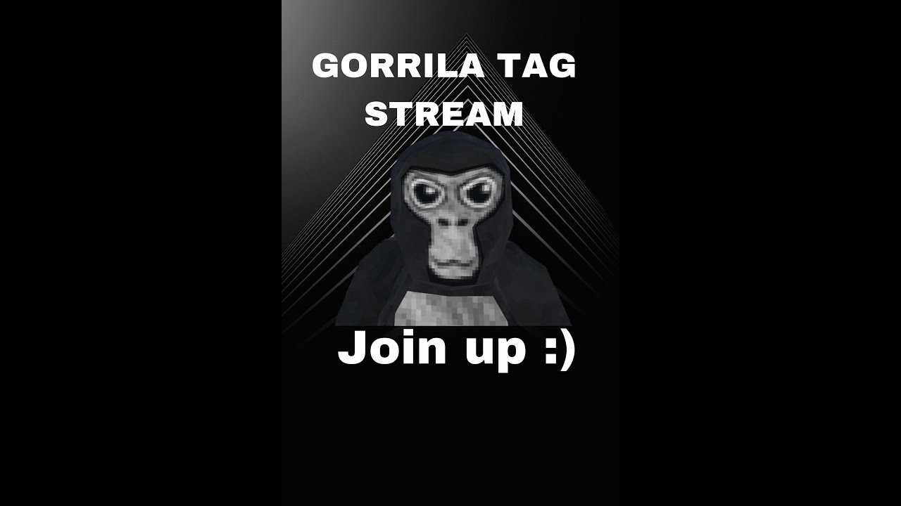 GORRILA tag stream :) - YouTube