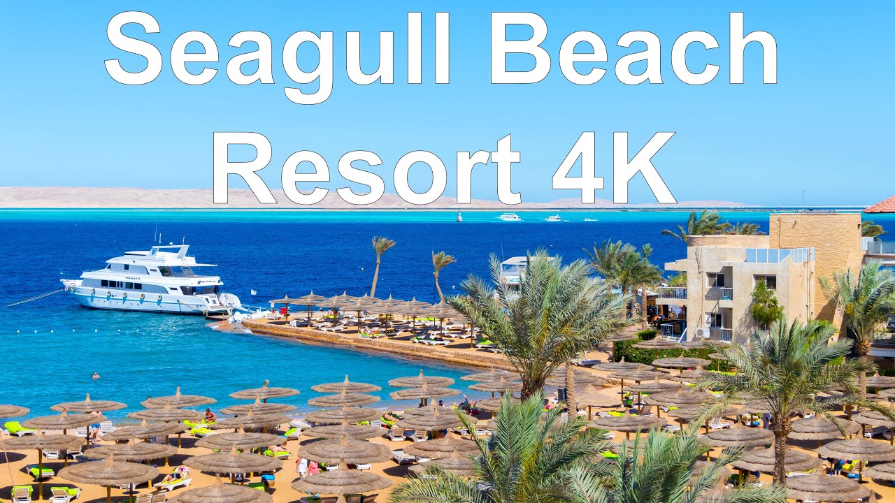 Seagull Beach Resort, Hurghada, Egypt Walking Tour 4K Part Two 🇪🇬 - YouTube