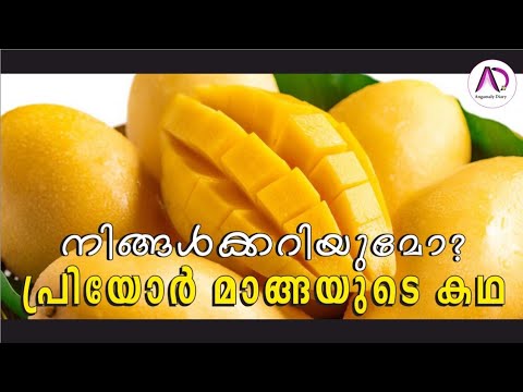 പ്രിയോർ മാങ്ങയ്ക്ക് ആ പേര് വന്ന കഥ | Priyoor Mango | Real Story behind ...