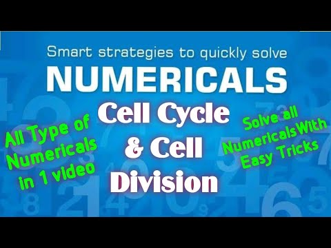 Cell cycle & Cell Division Numericals/numericals on mitosis & Meiosis ...