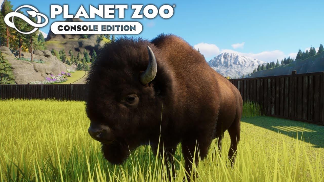 BISON, WOLF, SPINNE & CO. IN KANADA! • 019 🐘 Let's Play Planet Zoo ...