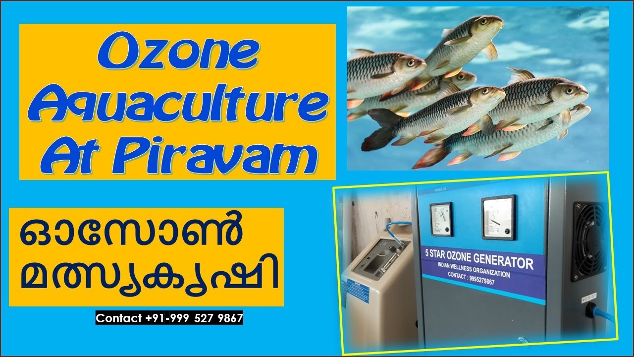 ozone fish farming /ഓസോൺ ഫിഷ് ഫാർമിംഗ് പിറവം - YouTube