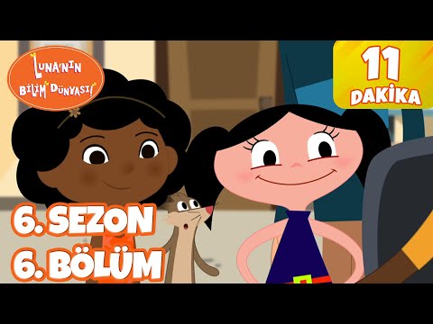 Luna'nın Bilim Dünyası 🧡 | 6. Sezon 6. Bölüm | Minika