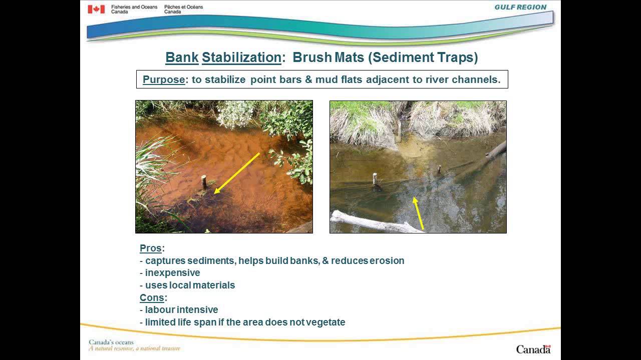 ASCF CRI Webinar: Terry Melanson (DFO) - Fish Habitat Restoration - YouTube