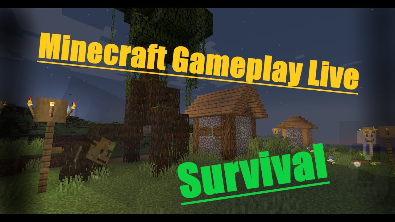 Minecraft Survival Live - YouTube