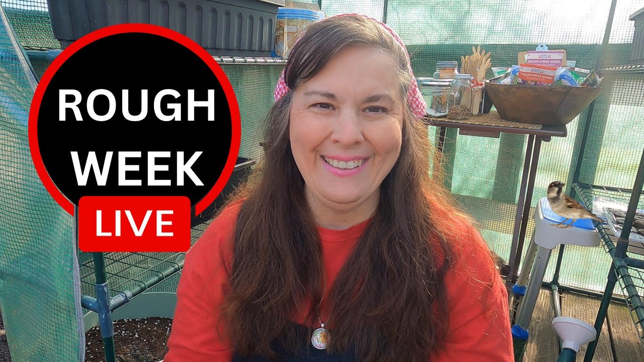 BEEN A ROUGH WEEK FOR MY CHILDREN - YouTube