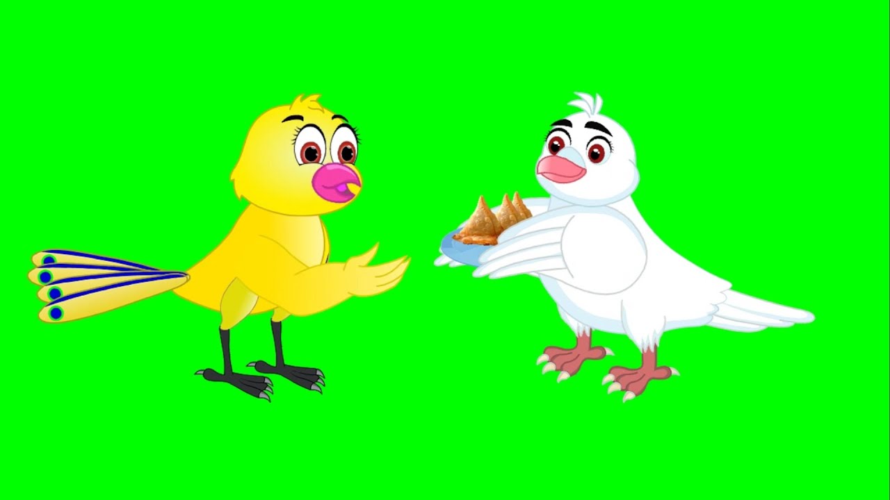 Tuni kabutar story animation green screen - YouTube