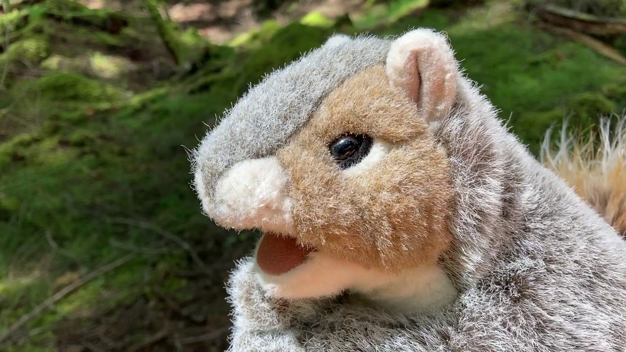 Squirrel Dialogues 16: The Ego in Depression - YouTube
