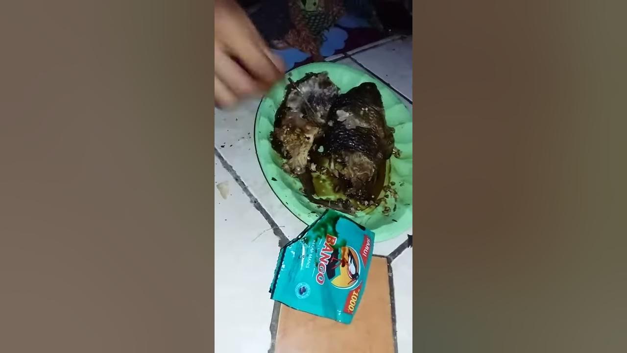 Makan Ikan Lauk Nya Tutung Tapi Rasanya Gays Anjiv Banget Youtube