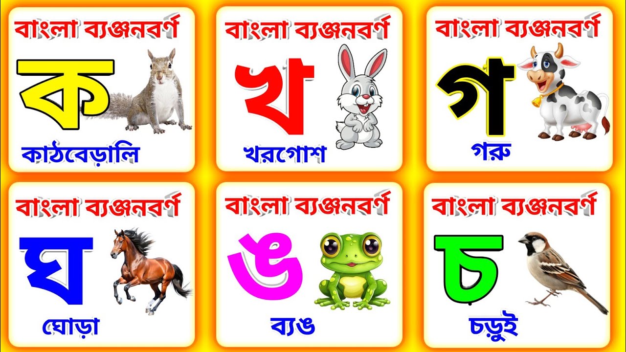 bacchader alphabet | Bangla alphabet banjonborno | বাংলা ক খ গ ঘ ...