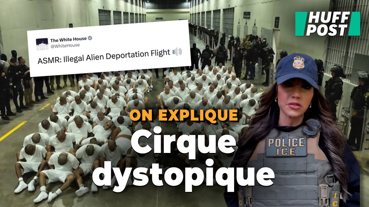 Memes, musique et Dr. Phil : Comment Trump a transformé les ...
