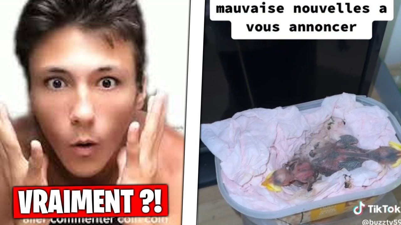 Sandy Familly De Retour Pour Maltr*itance Animal ! - YouTube