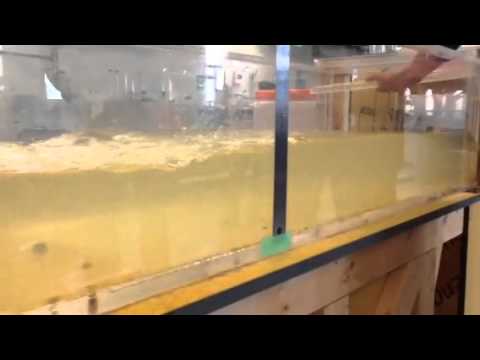 Hydraulics Lab - Sharp-Crested Weir - YouTube