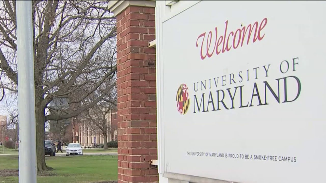UMD suspends fraternity and sorority events after reports of unsafe ...