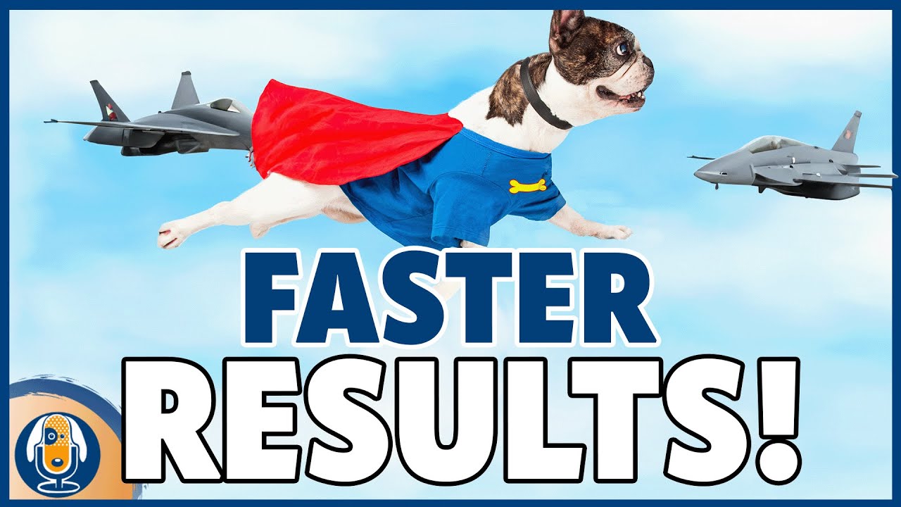 Shaping Behavior In Dog Training: Tips To Get Success Faster - YouTube