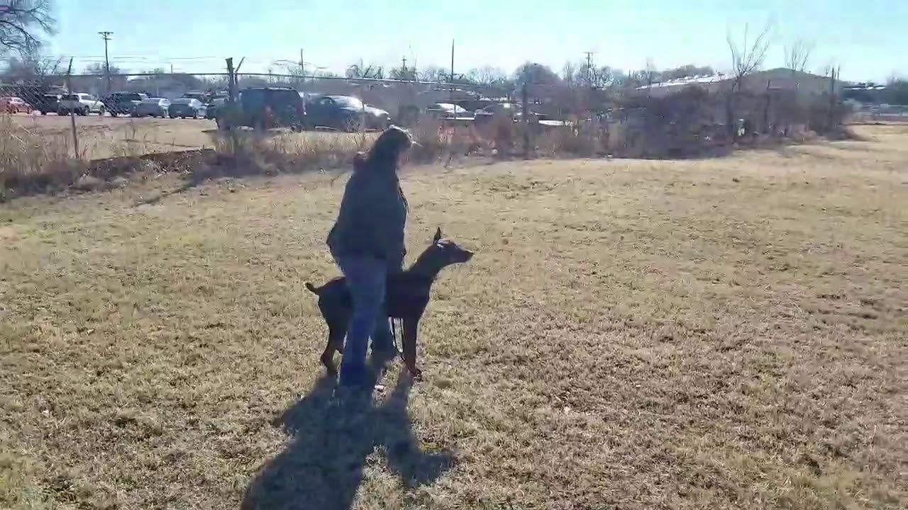 Bite work practice - YouTube