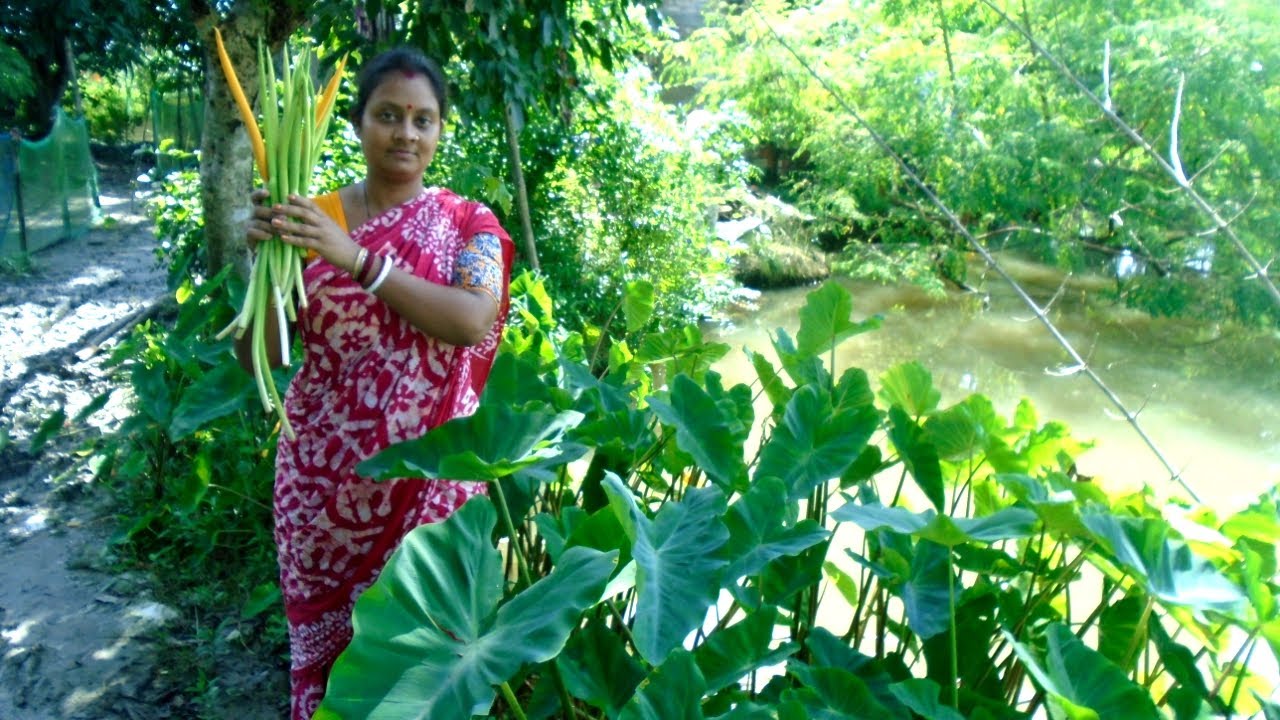 অনবদ‍্য স্বাদে কচু ফুলের রেসিপি। Kochu Full Recipe। Kochu Fuller Recipe ...