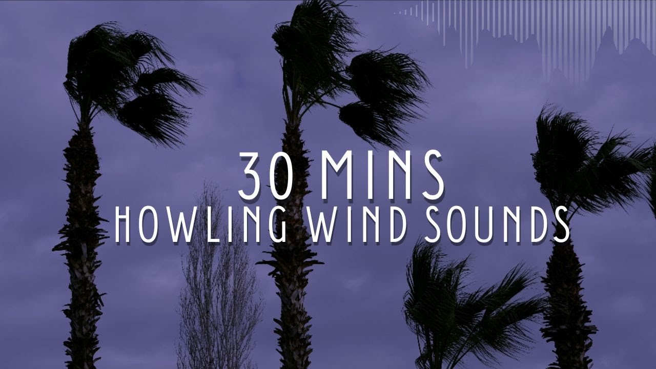 30 Mins Howling Wind Sounds for Relaxation | Eerie and Calming Ambience ...