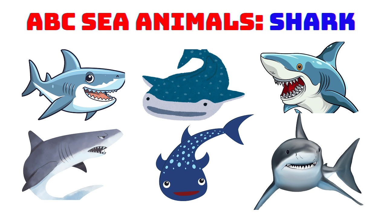 ABC Sea Animals Fun For Kids: Learn the Alphabet with Amazing Ocean ...