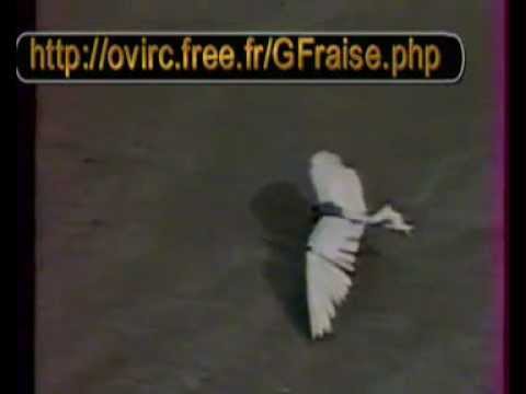 Human powered ornithopter - YouTube