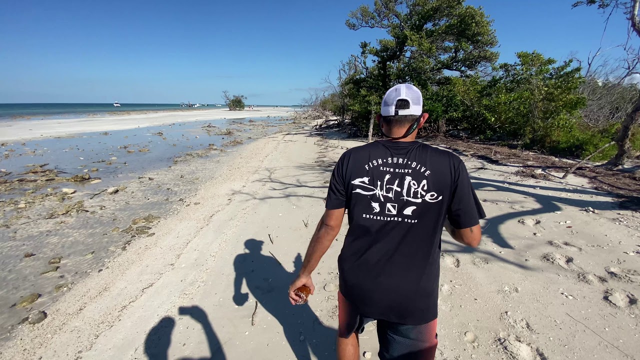 Snipe Point Beach Walk Key West Walk The Plank Adventures Tour - YouTube