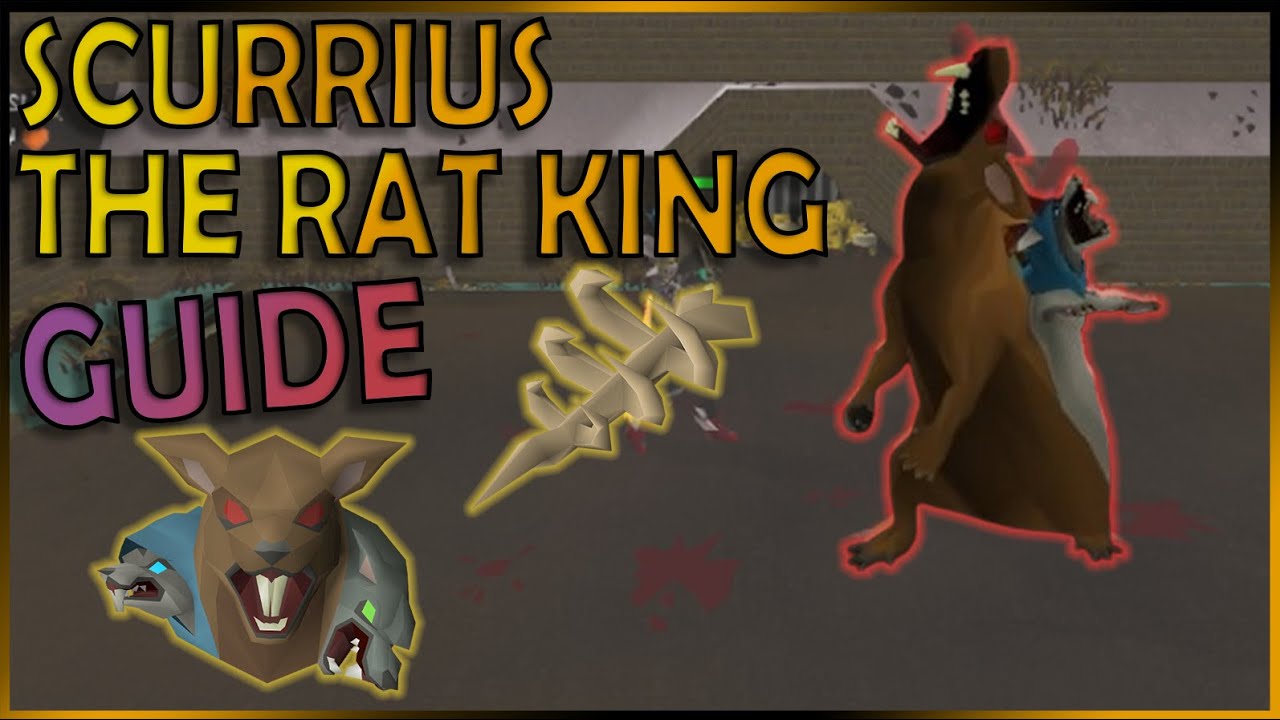 Defeat Scurrius The Rat King | OSRS Ultimate Strategy - YouTube