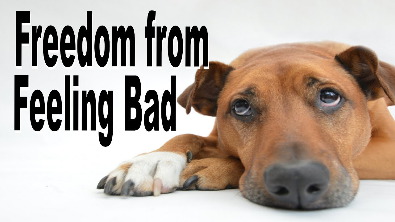 Freedom from Feeling Bad - YouTube
