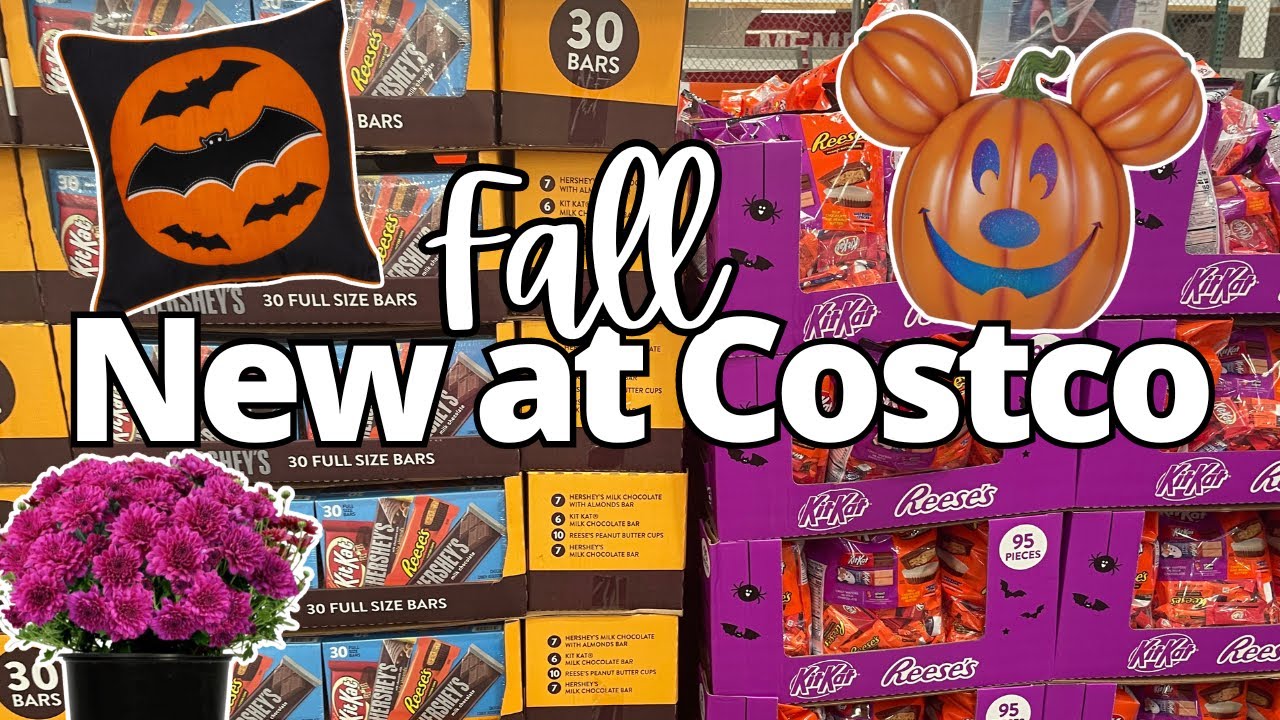 Costco Fall Finds: Ultimate Halloween Costco Shopping Guide - YouTube