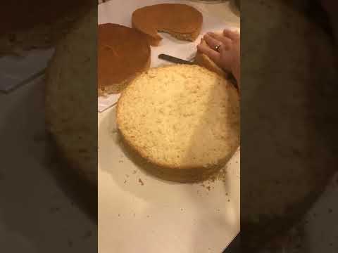 Buta Tortunun Kəsimi, Xına Tortu ( Canlı Yayım Təkrar İzləmək İstəyənlər Üçün)