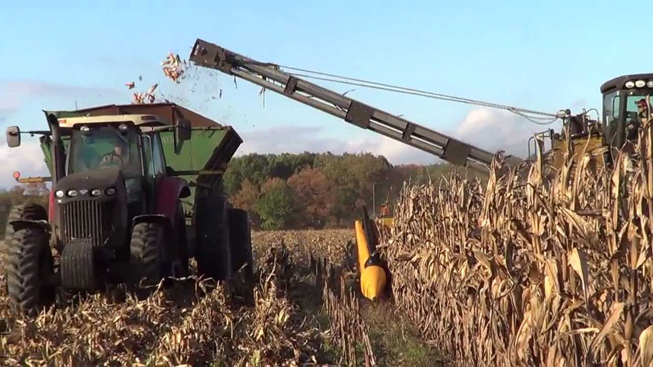 Picking Seed Corn in Southern Michigan - YouTube