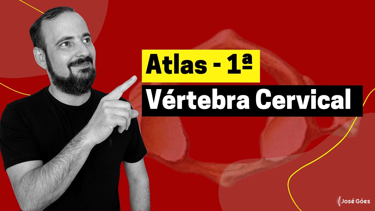 Atlas - 1ª Vértebra Cervical | José Góes - YouTube