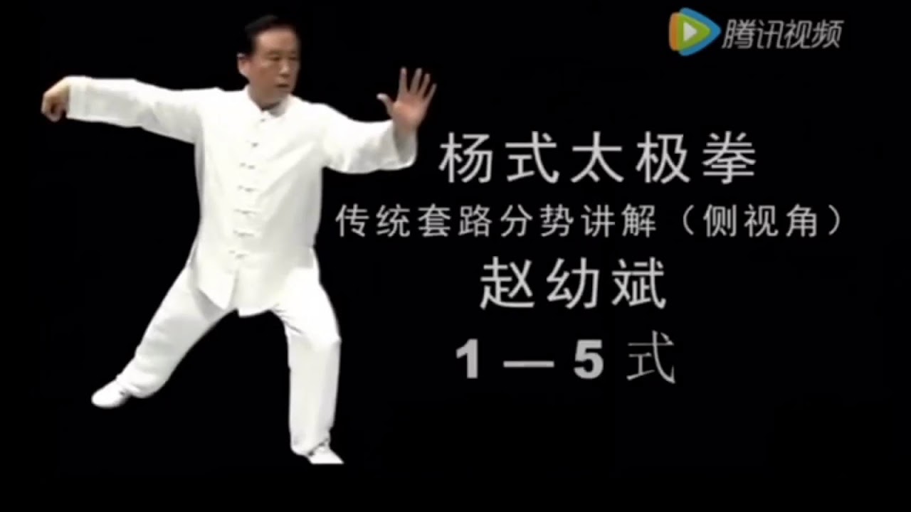 Grandmaster Youbin Zhao teaching the first 2 forms (side view) - YouTube