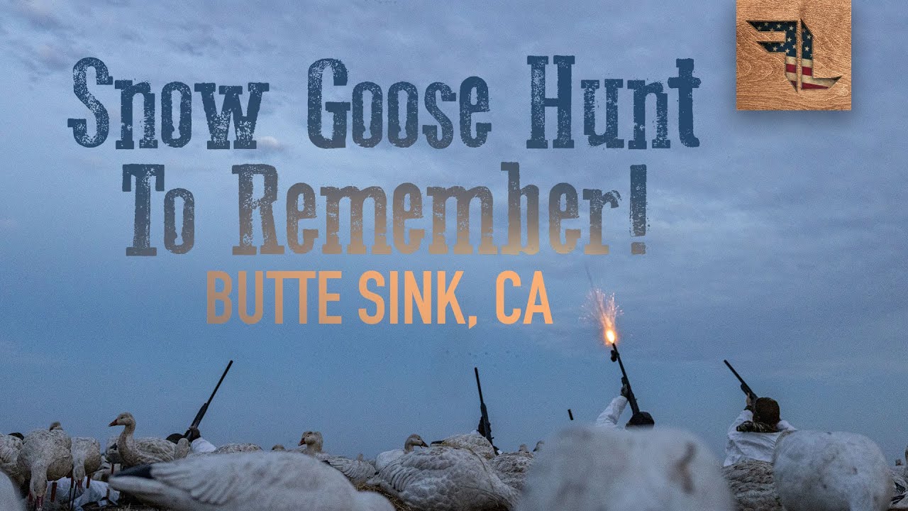 A Snow Goose Hunt To Remember - YouTube