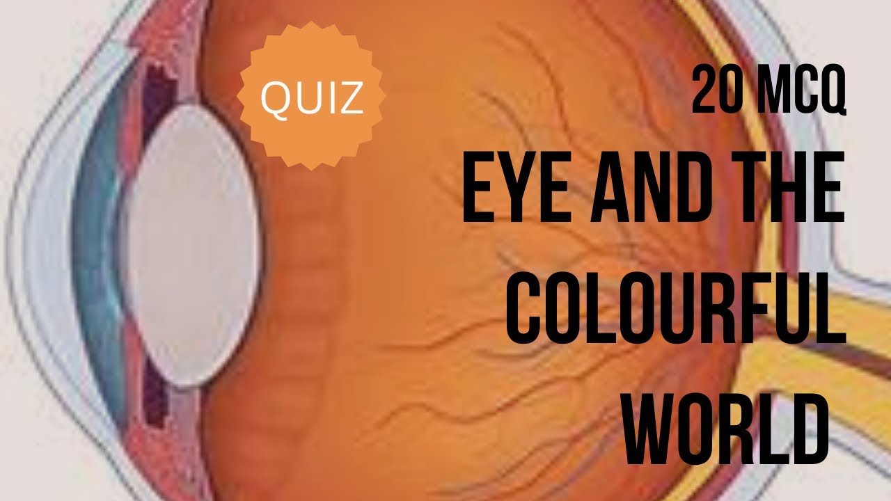 "Human Eye and The Colourful World MCQ Quiz | Class 10 Science | Test ...
