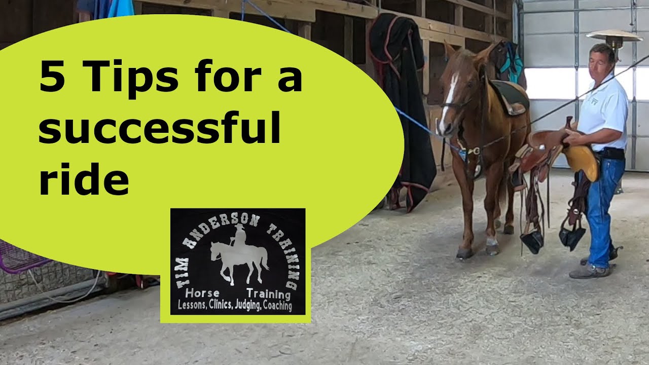 Set yourself up for success. 5 Tips for a Successful Horseback Ride ...