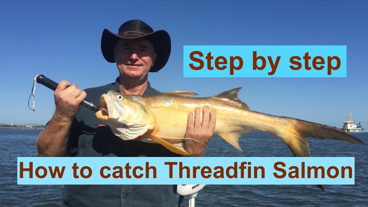 Fishing for Threadfin and Jew (step by step rigs and gear) - YouTube
