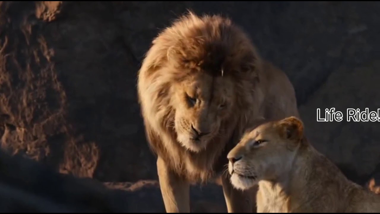 The lion king movie sweet moment Showing the little king part 1 - YouTube