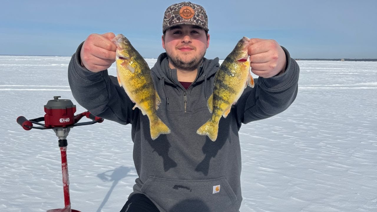 Minnesota JUMBO PERCH - YouTube