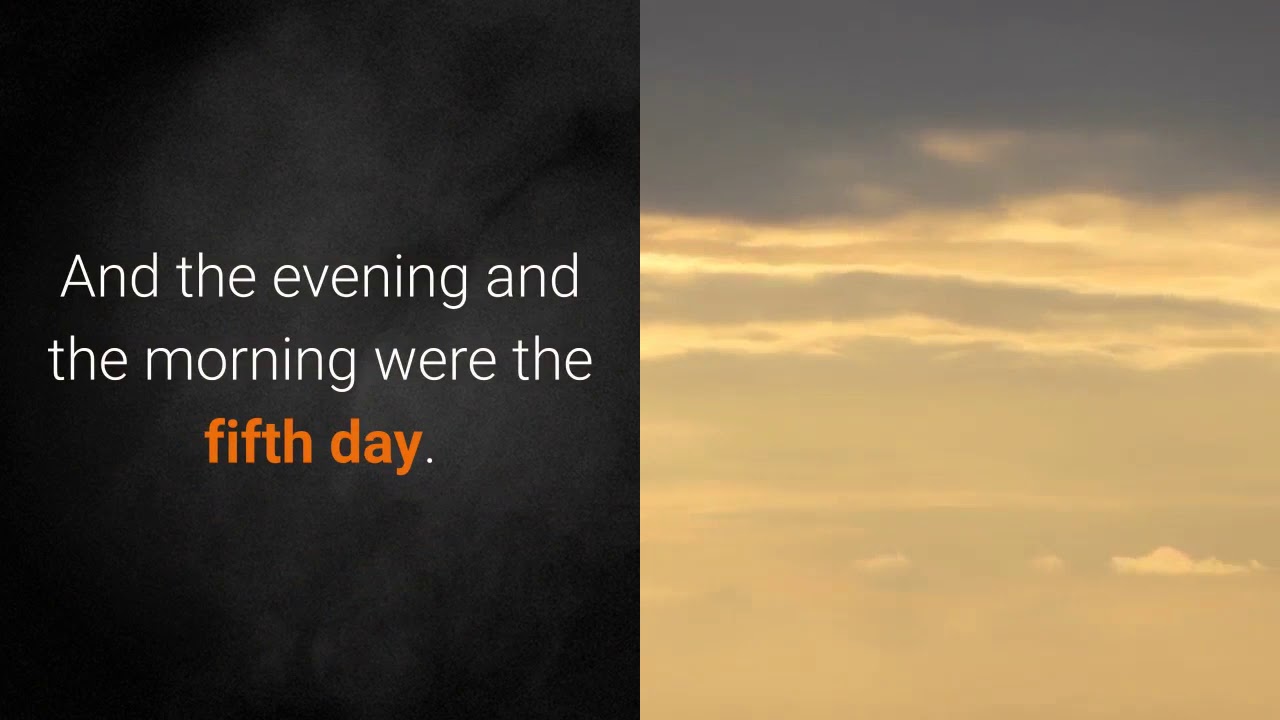 King James Bible (KJV) - Genesis 1 - Free Bible Verses Audio - YouTube