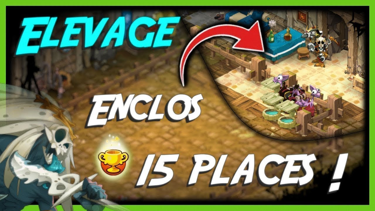 Succès Elevage Dofus - Part.7 - Nouvel Enclos! Purge des Dragodindes ...